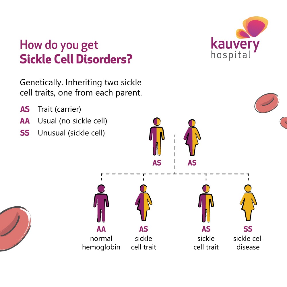 What Is Sickle Cell Disease Sickle Cell Anemia World Sickle Cell What Is Sickle Cell Disease Sickle Cell Anemia World Sickle Cell