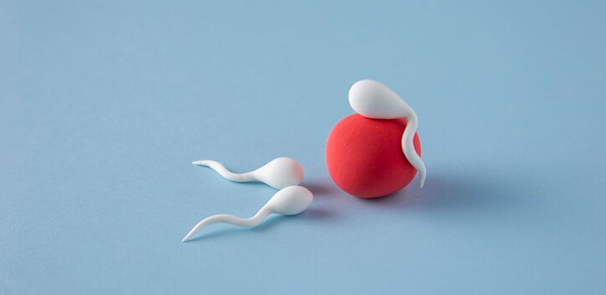 Male Fertility Myths and Facts: What Every Man Should Know