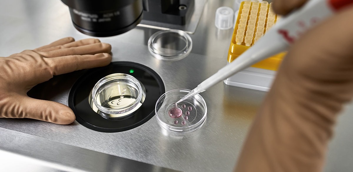 Detailed Guide: In-Vitro Fertilization (IVF) Process & Benefits
