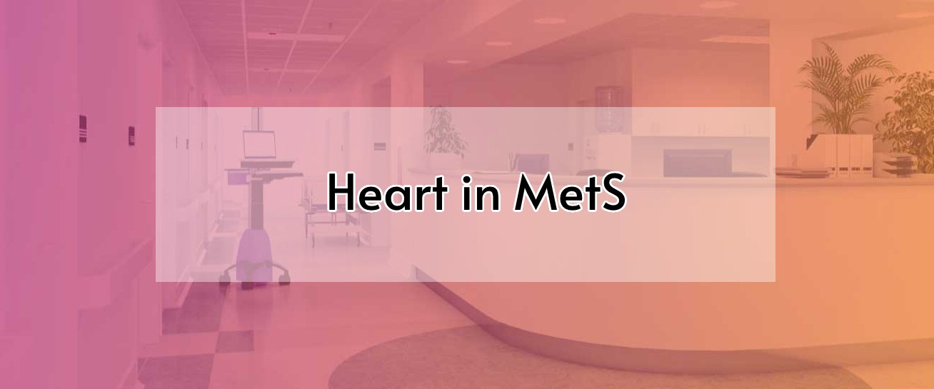 Heart in MetS