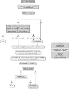 Hyperkalemia and Cardiac Arrest - A Challenge to Treat