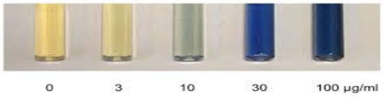 Management of a patient with paraquat poisoning - A case report