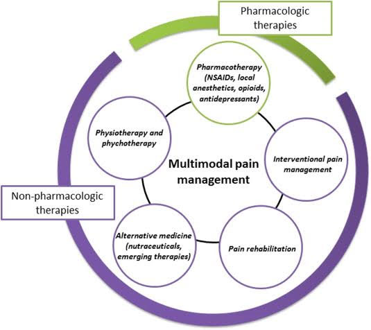 The Sensation of Pain | Role of Anesthesia in Pain Management ...