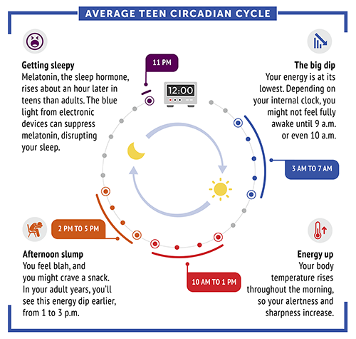 Biological Or Circadian Clock Kauvery Hospital