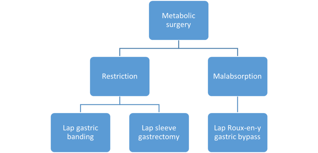 Clinical Audit on Bariatric and Metabolic Surgery: Outcomes and ...