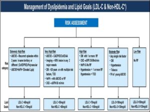 Dyslipidemia Management in India: A Comprehensive Overview