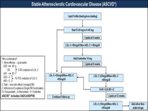 Dyslipidemia Management in India: A Comprehensive Overview