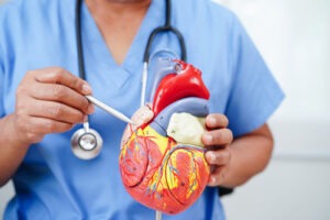 Understanding Transcatheter Aortic Valve Replacement (TAVR ...