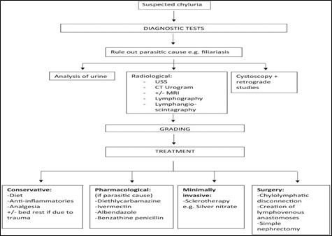 Retrospective analysis and a case report: Chyluria - Kauvery Hospital